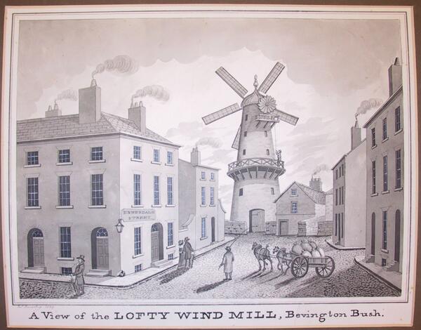 Bevington Bush - Lost Tribe of Everton